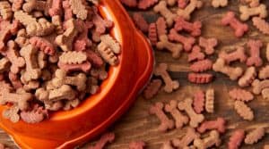 How Much To Feed A Yorkie Puppy | Yorkie Feeding Chart