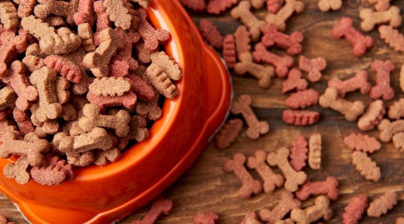 How Much To Feed A Yorkie Puppy | Yorkie Feeding Chart